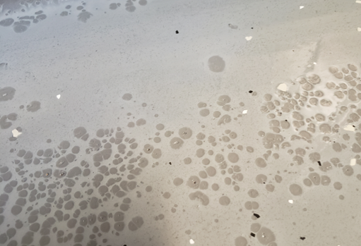 Fisheyes – Rust-Oleum Product Support (CA)